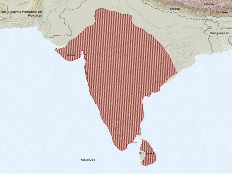 Roestkat | Stichting SPOTS